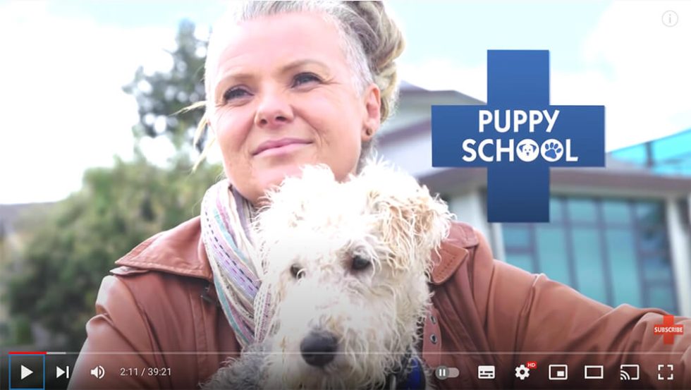 Kira Canine Code dog training and behaviour specialist